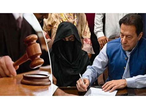 عدت کے دوران نکاح کیس میں سزا کے خلاف مرکزی اپیلوں کی سماعت میں سلمان