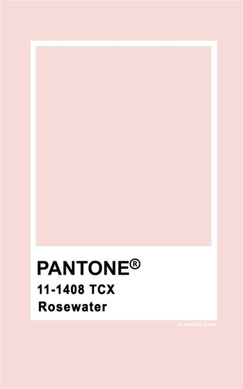 Pantone Rosewater 11 1408 Artofit