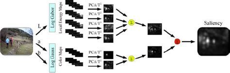 Bottom Up Saliency Model Download Scientific Diagram