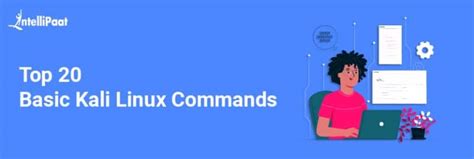 Top 20 Basic Kali Linux Commands Intellipaat
