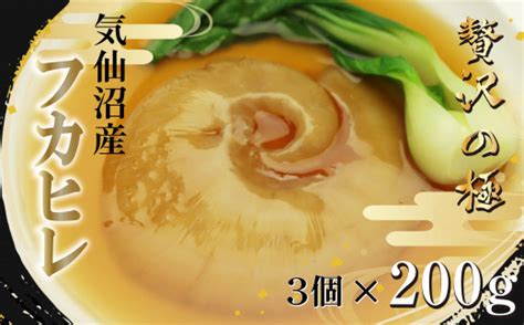 ふかひれ 姿煮 3個 セット 国産 天然 中華 料理 おかず 高級 食材 レトルト コラーゲン グルメ 珍味 フカヒレ 静岡県藤枝市