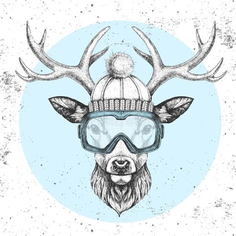 Deer Muzzle Stock Illustrations 4256 Deer Muzzle Stock Illustrations