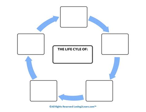 Blank Cycle Diagram Template Blank Life Cycle Chart