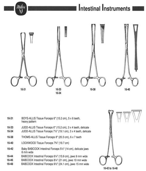 Miltex Babcock Tissue Forceps 6 14 156mm Jaws 85mm Wide Id 16 44