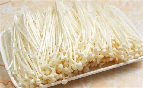 金针菇明天见为什么吃金针菇后第二天能看见完整的金针菇 探秘志