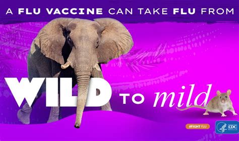 Aimee Reed On Linkedin Cdc Launches ‘wild To Mild Flu Vaccine Campaign