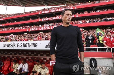 Son Kim 스승 슈미트 김민재 월클 선수가 될 잠재력 갖고 있어 칭찬 세례 나무뉴스