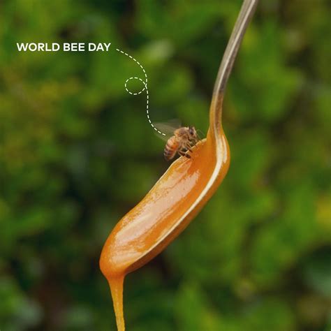 Comvita Comvita Usa • Instagram Photos And Videos