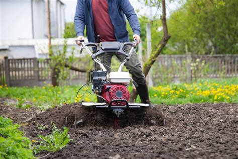 How To Plant Grass Seed Without Tilling A Diy Guide