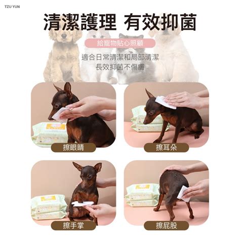 寵物專用潔淨濕紙巾 80抽 寵物濕紙巾 寵物清潔巾 貓狗清潔 寵物清潔 貓犬通用 寵物專用濕紙巾 歐文購物 歐文購物中心 Iopen Mall
