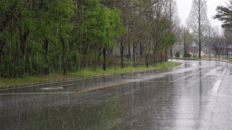 비오는 거리에 불면증과 숙면을 위한 최고의 빗소리 Asmr 폭우 백색소음 Youtube