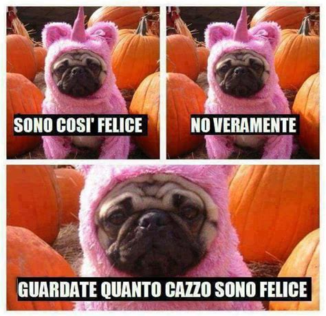Mi Riconosci Ho La Faccia Piena Di Fchiaffi Il Culo Pieno Di Faffi