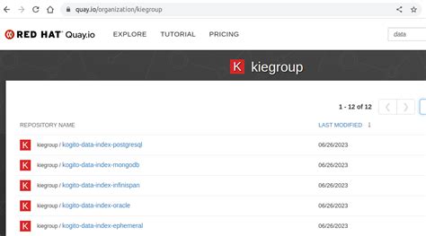 Data Index Standalone Service Sonataflow Guides
