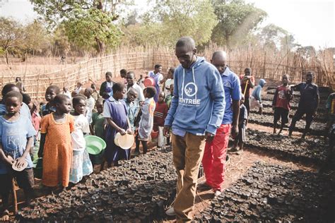The Benefits Of Planting Trees In Malawi The Environmentor