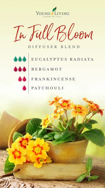 Diffuser Blend For Every Month Of The Year Young Living Blog
