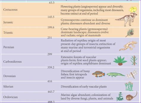 Topic 7 Bio Flashcards Quizlet