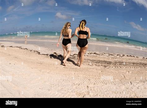 Baiser Sur Les Plages De Santo Domingo Telegraph
