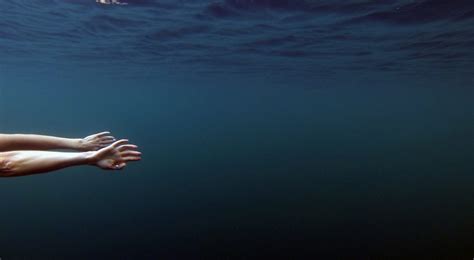 Bluehue Outdoor Swimming Society Outdoor Swimming Society