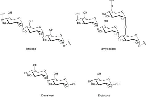 Partial Structure Of The Starch Constituents Amylose And Amylopectin