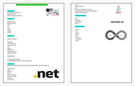 Md Zafar Ahmed On Linkedin Salesforce Dotnet Java Devops Servicenow
