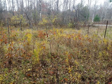 Week Of October 27 2019 Eight Mile Creek Farm