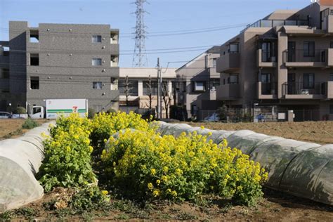 生産緑地の2022年問題とは？とるべき対応をわかりやすく解説しました 円満相続税理士法人 相続税申告専門の税理士法人