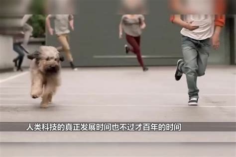 在6500万年前，恐龙有没有可能利用高科技，逃离了太阳系？高科技太阳系恐龙