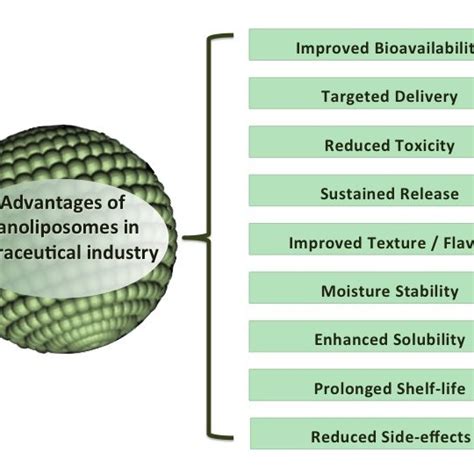 Nanoliposome Technology For The Food And Nutraceutical Industries
