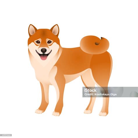 흰색 배경에 고립 된 다채로운 행복 서 시바 이누 색상 평면 만화 품종 개 시바이누에 대한 스톡 벡터 아트 및 기타 이미지