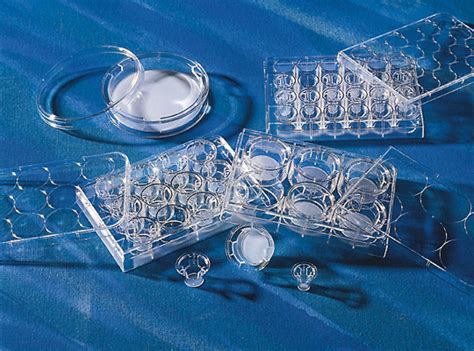 Transwell® 细胞培养小室，聚碳酸酯 Pc 膜 Corning