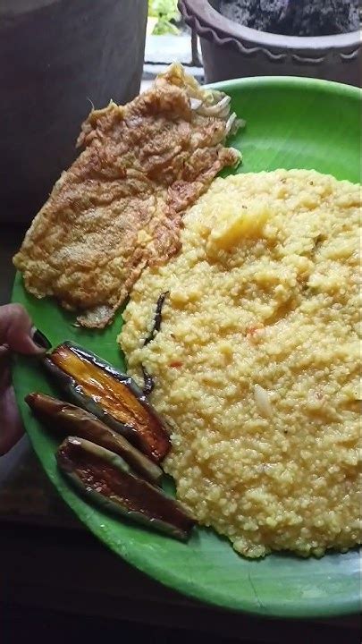 Mini Vlog Day 103 বৃষ্টির দিনে খিচুড়ি বেগুন ভাজা অমৃত পুরো ️ ️