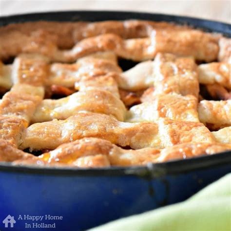 Dutch Apple Pie A Traditional Crowd Pleasing Recipe