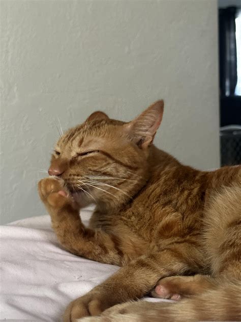 Hes Blowing You A Kiss Would You Accept R Pics