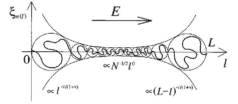 Equilibrium Conformation Of Polyampholytes In An External Field For A Download Scientific