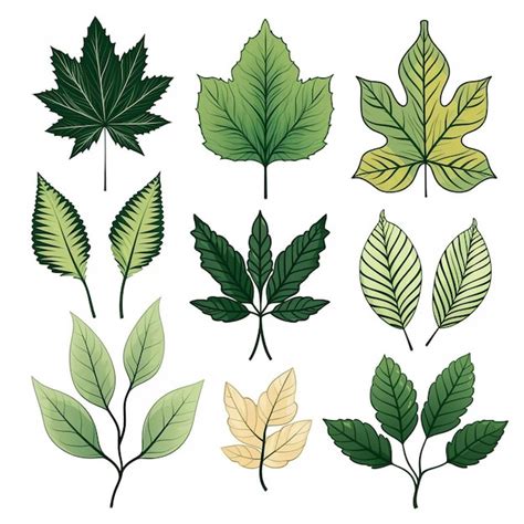 Premium Ai Image Leaf Set