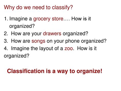 The Science Of Classifying Organisms Ppt Download