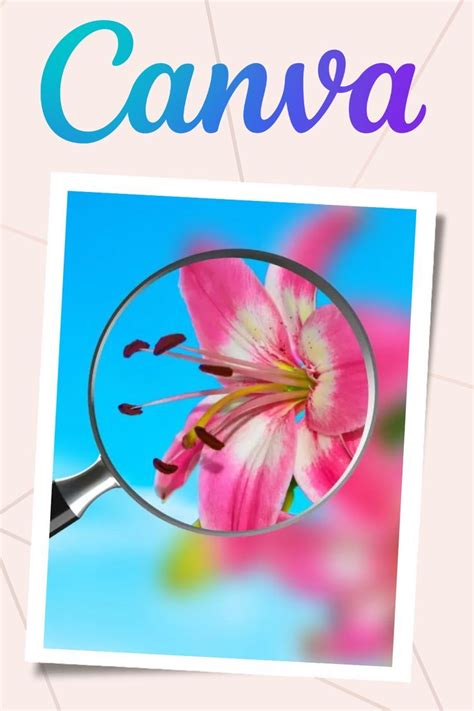 Canva Tutorial How To Make A Magnifying Effect On Canva Canva