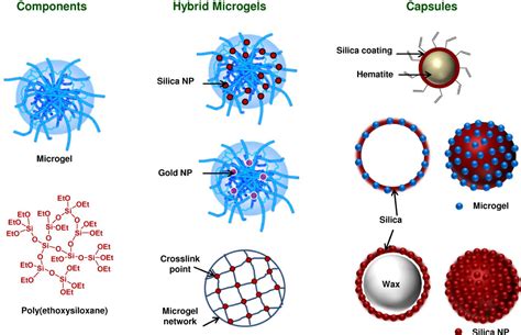 figure 1 1 from microgel sio2 hybrid colloids with different