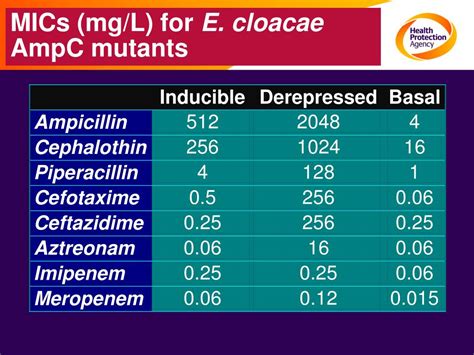 Ppt Ampc B Lactamases And Their Detection Powerpoint Presentation Id
