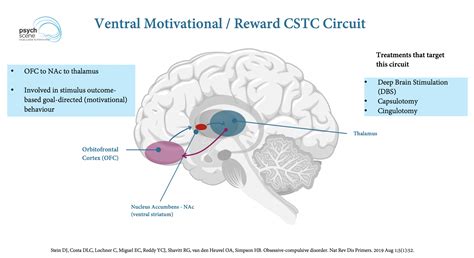 Obsessive Compulsive Disorder Neurobiology And Treatment