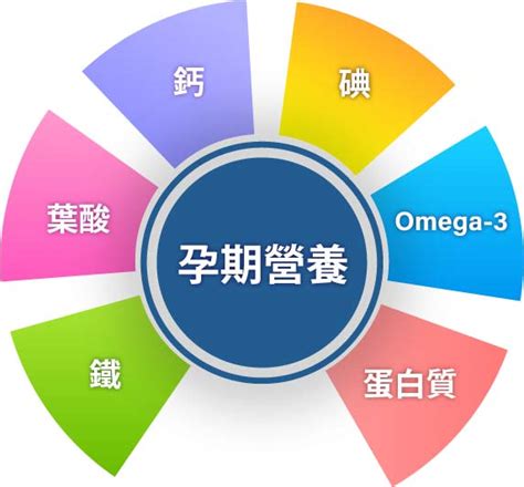 懷孕怎麼吃？營養師教你聰明補充6種關鍵營養素！ 紫金堂澳洲