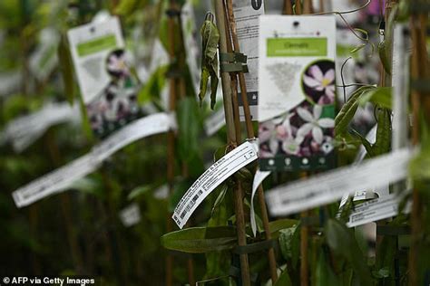 Brits Face Higher Grocery Bills Over Post Brexit Border Checks
