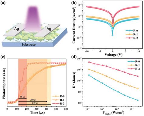 Toward Efficient Two‐photon Circularly Polarized Light Detection Through Cooperative Strategies