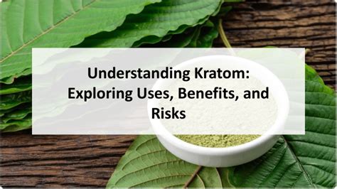 Kratom Uses Benefits Risks An Overview