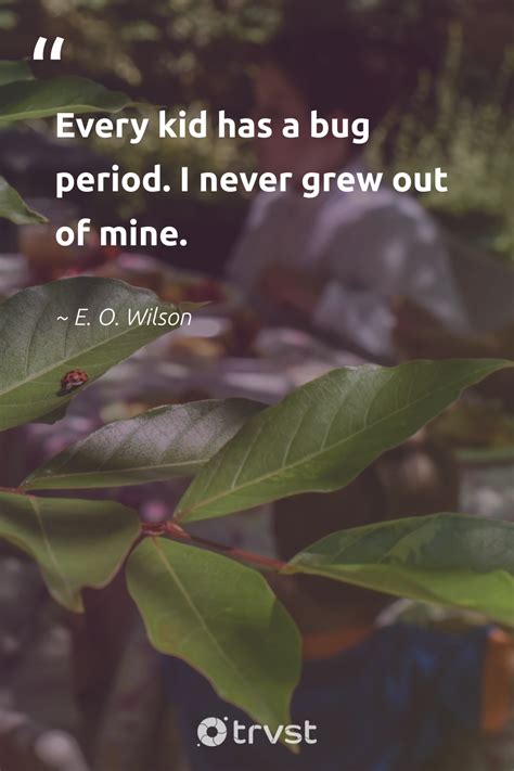 33 Bug Quotes For Insect Lovers And Buggy Life Moments Artofit