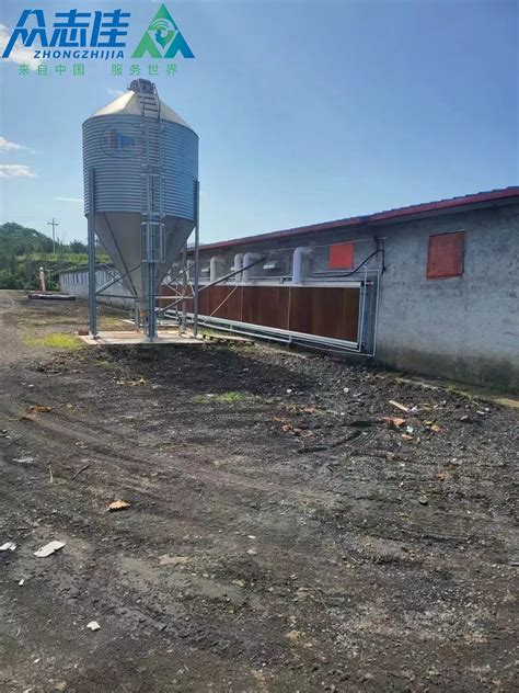 Good Price Of Modern Poultry Farming Machine Automatic Breeding System