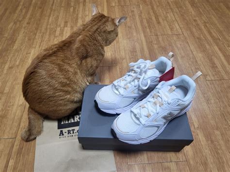 여자 운동화 추천 뉴발란스 408 오렌지 가볍고 너무 편안하지만 네이버 블로그