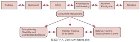 Interventions Of Gait Dysfunction Flashcards Quizlet