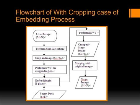 Skin Tone Based Steganography Pptx