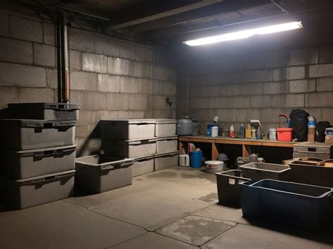 Maximizing Potential With Egress Windows Standard Water